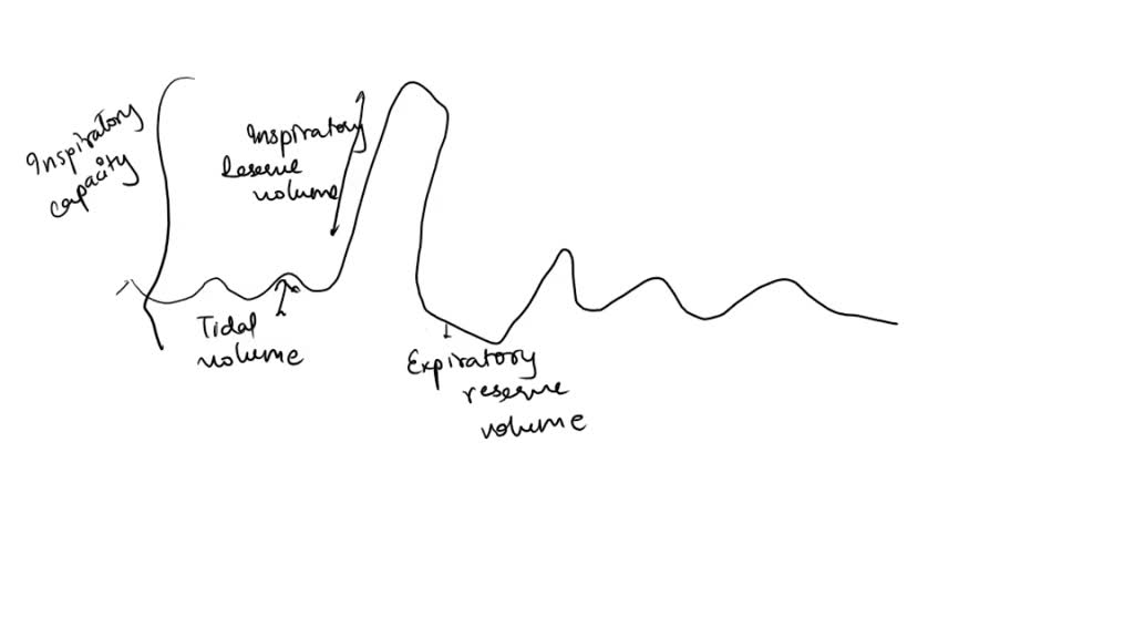 SOLVED: The text below (shown in Figure 2) is a spirogram label. Ly-Ln ...