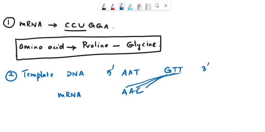 SOLVED: Determine the sequence of amino acids from an mRNA sequence ...