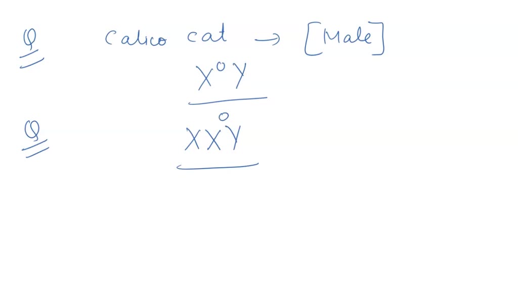 SOLVED: You adopt a calico cat and find out that it is (XXY). What is ...