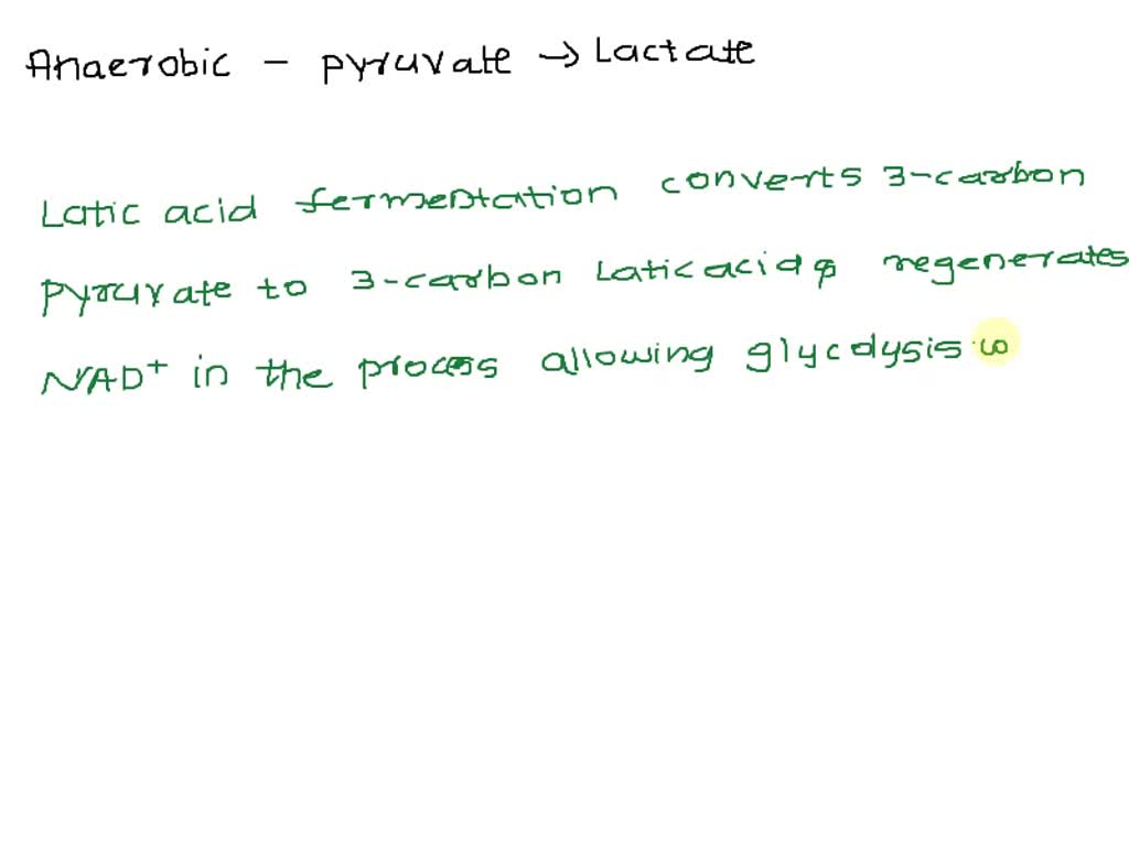 SOLVED: Why is the fermentation or anaerobic reaction of pyruvate to lactate is necessary? Draw ...