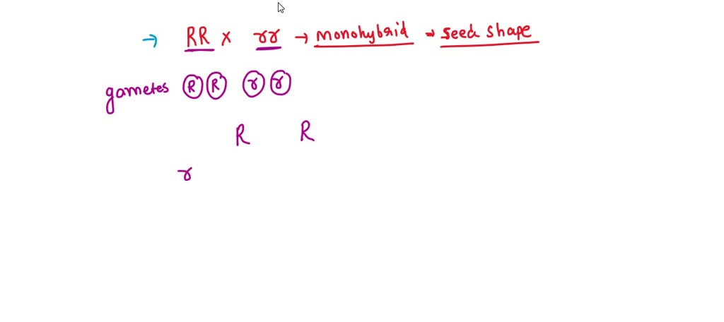 SOLVED: Punnett Squares Dihybrid CrossPunnett Squares 1: Dihybrid cross