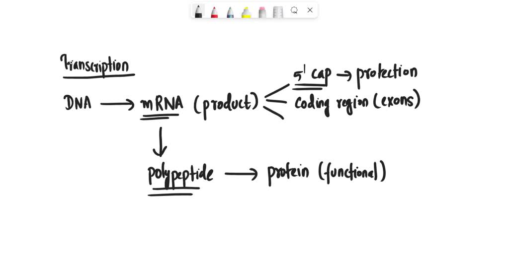 SOLVED: What is cap and tail of mRNA made up of?