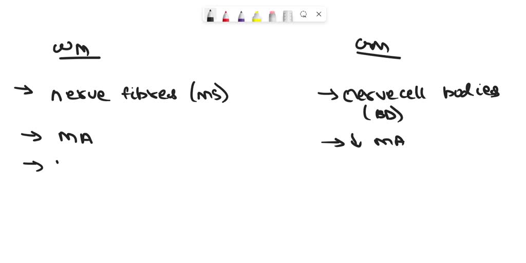 SOLVED: Describe the functional and structural differences between gray matter and white matter ...