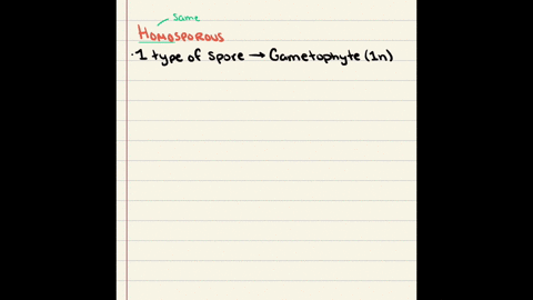 SOLVED: differences between homosporous and hetero sporous life cycles