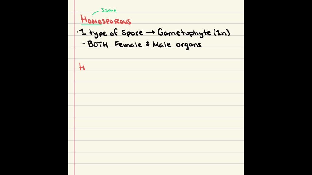 SOLVED: differences between homosporous and hetero sporous life cycles