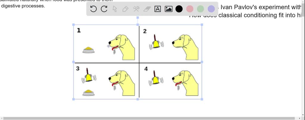 SOLVED: What does Ivan Pavlov's experiment with his dog? How does ...