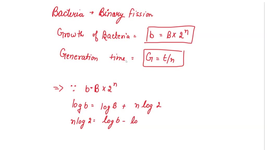 SOLVED: A loopful of bacteria containing 1000 bacterial cells is ...