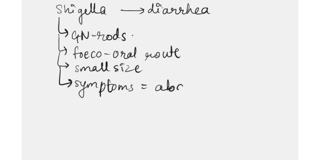 SOLVED: Complete these sentences to demonstrate your understanding of ...