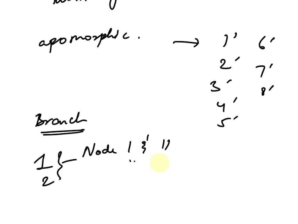 SOLVED: Assume that this cladogram depicts the correct branching ...