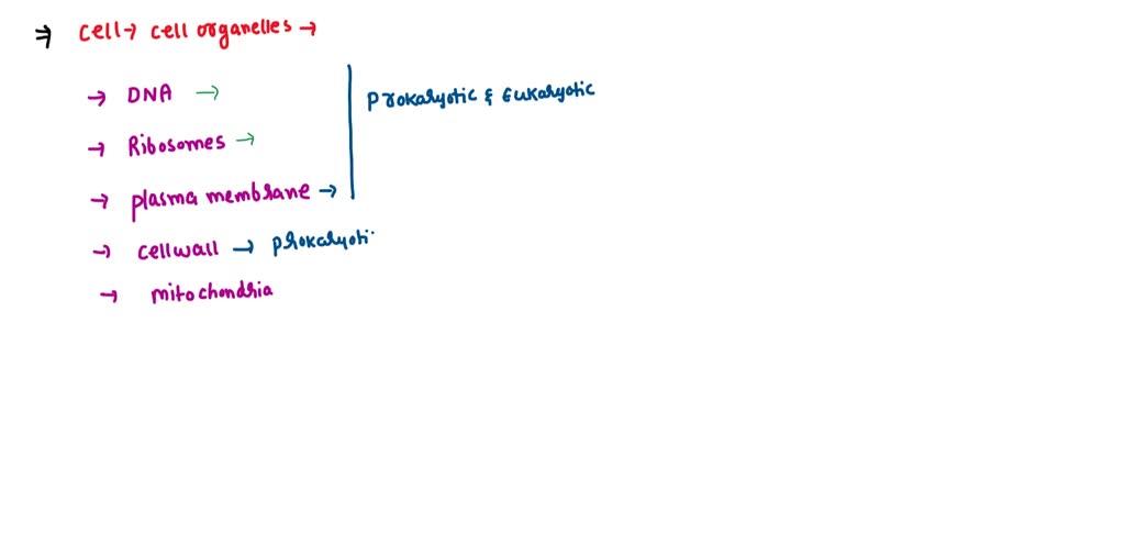 SOLVED: You are examining a cell from a crime scene using an electron ...