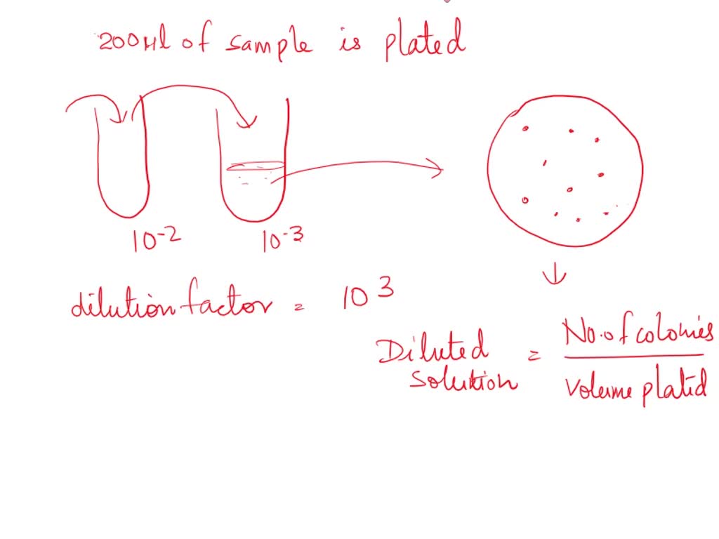 SOLVED: If 200 Î¼l of bacterial solution were spread on this plate ...