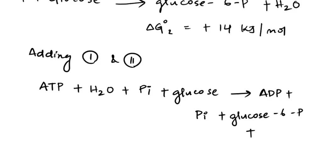SOLVED: Consider these reactions: ATP â†’ ADP + Pi glucose-6-phosphate ...