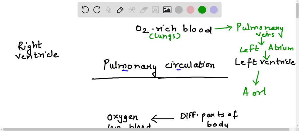 SOLVED: Please help me.................... 1. Complete the flowchart ...