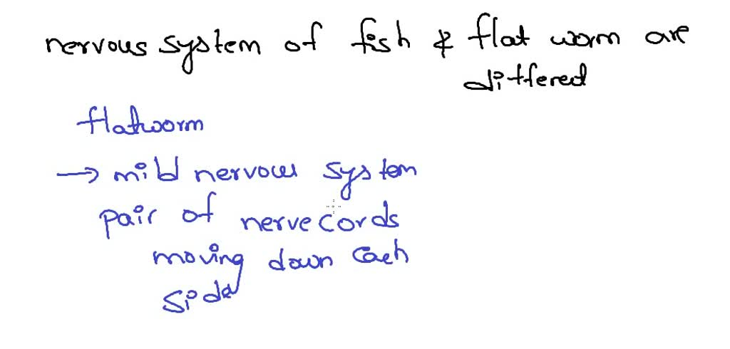 SOLVED: How are the nervous systems of a flatworm and a fish different ...