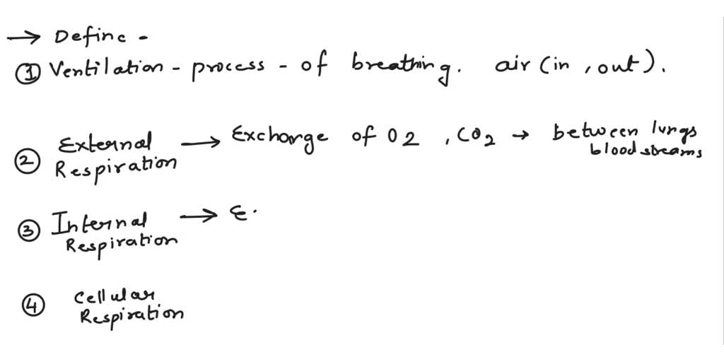 SOLVED: Define and differentiate between ventilation, external ...