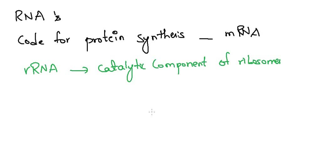 SOLVED: 2. Which of the following is a CORRECT pairing of the RNA type ...