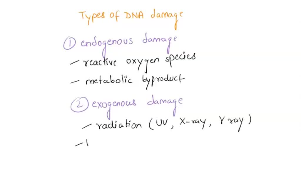 SOLVED: 'Name the major types of DNA damage indicated. AX'