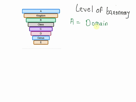 Understanding the Levels of Taxonomy Identify the levels of...