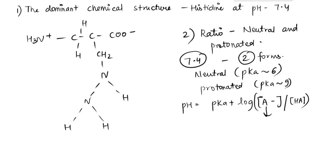 Question 1 (5 points): (1) Draw the dominant chemical structure of the ...