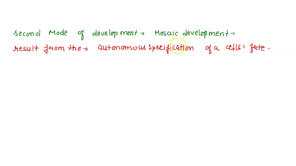 SOLVED: 'You separate the blastomeres of a four-cell animal embryo and ...