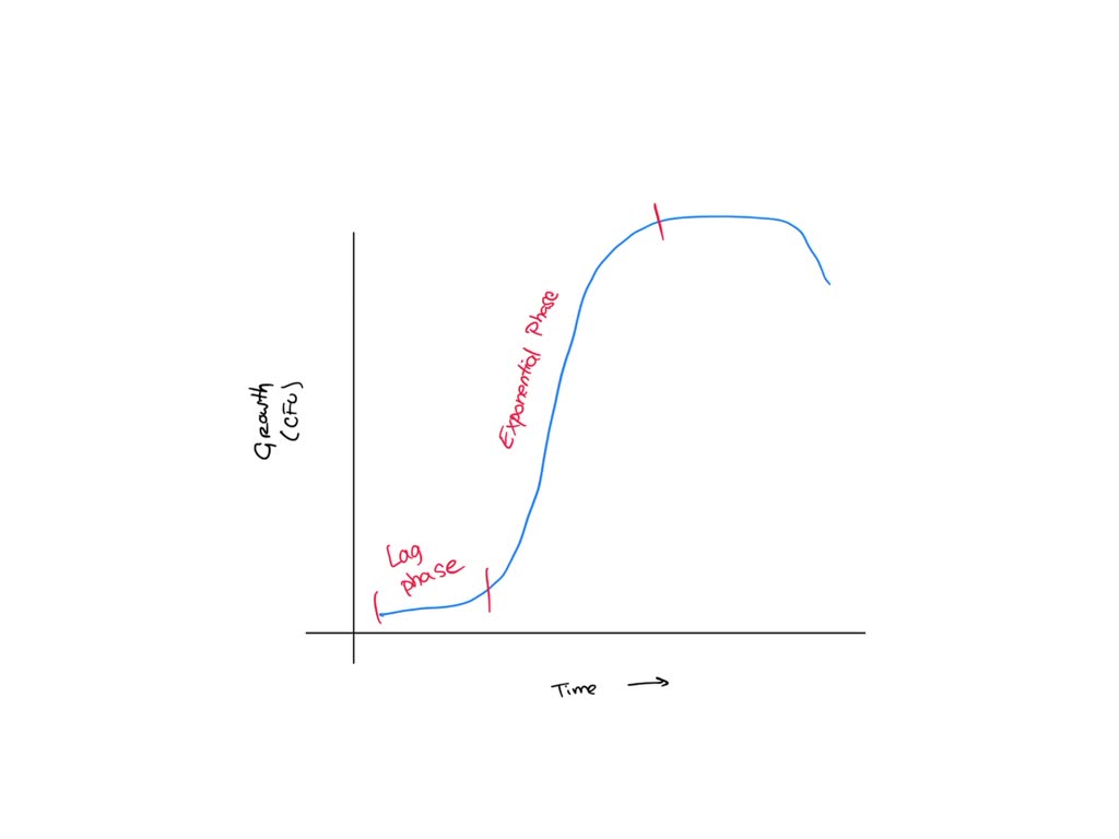 SOLVED: Draw the traditional microbial growth curve being sure to label ...