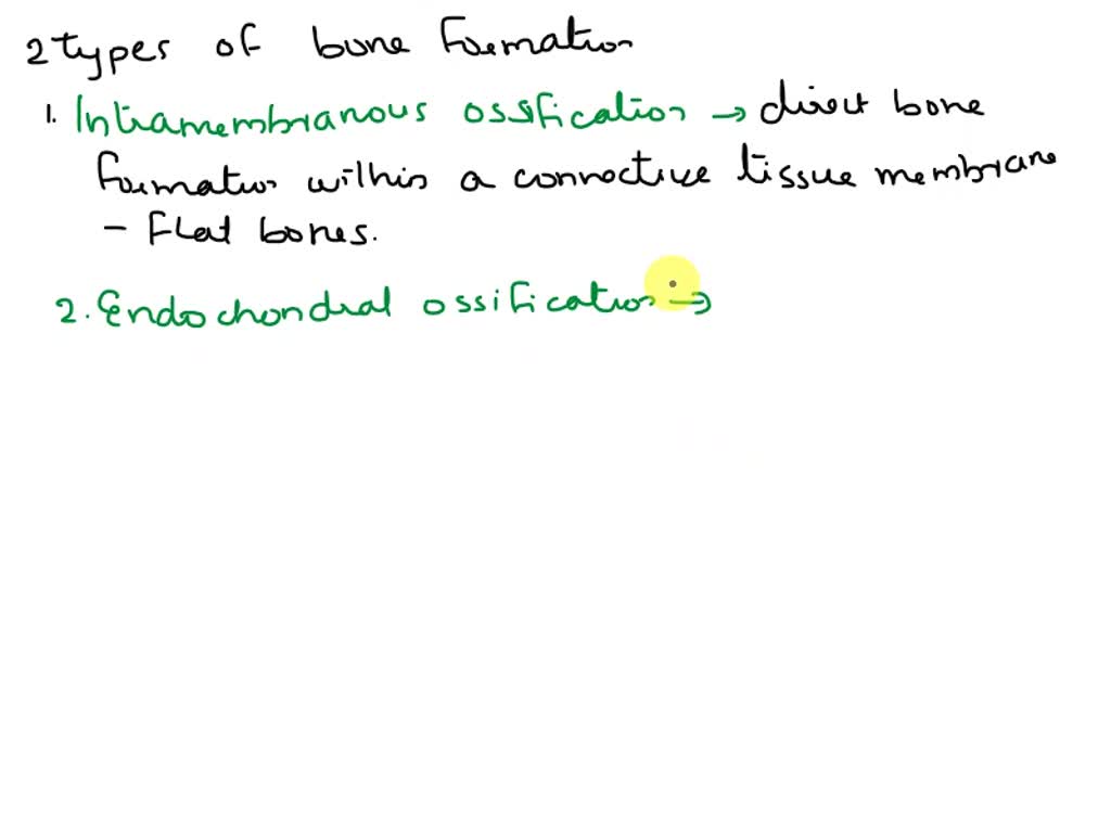 SOLVED: Explain the difference between the two types of bone formation ...
