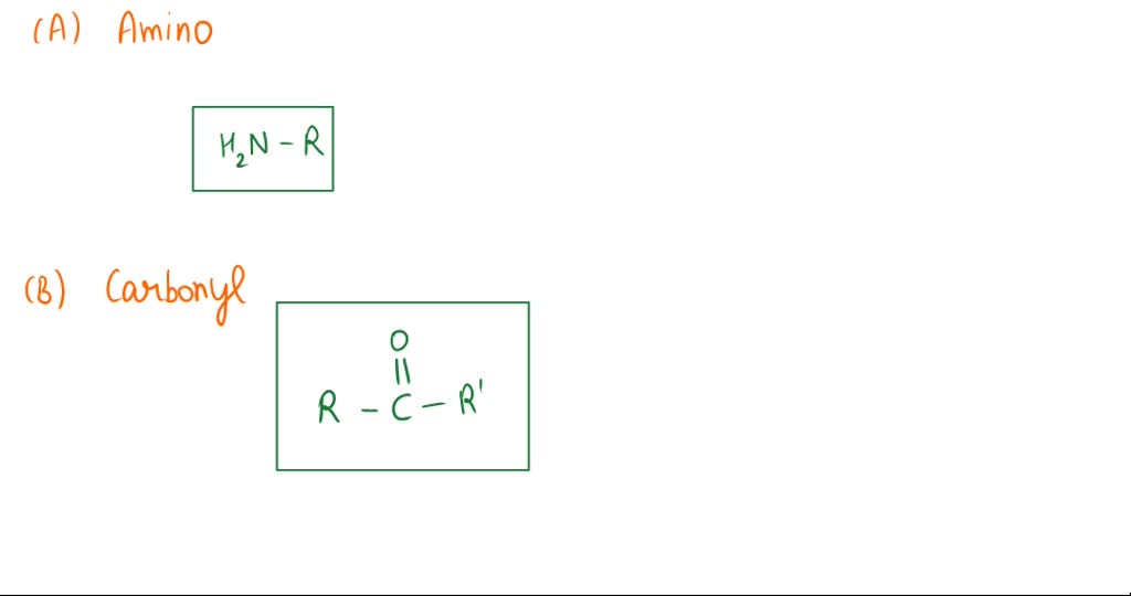 SOLVED: What is the name of the functional group in the molecule below ...