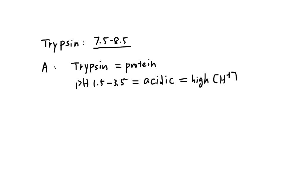 SOLVED: Trypsin is an enzyme located in the small intestine that breaks ...