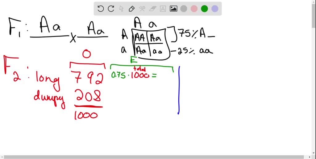 SOLVED: A genetics student crossed flies with normal long wings with ...