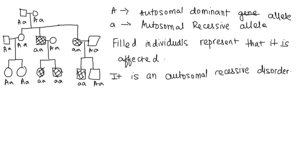 SOLVED: In the below diagram, what is signified by the double line that ...