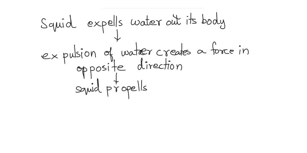 SOLVED: The jet propulsion motion of a squid is based on: The work ...