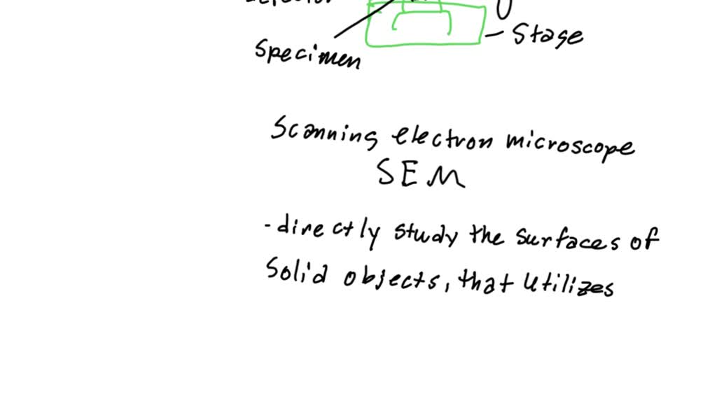 SOLVED: Explain the functioning of a SEM by drawing a sketch and giving ...