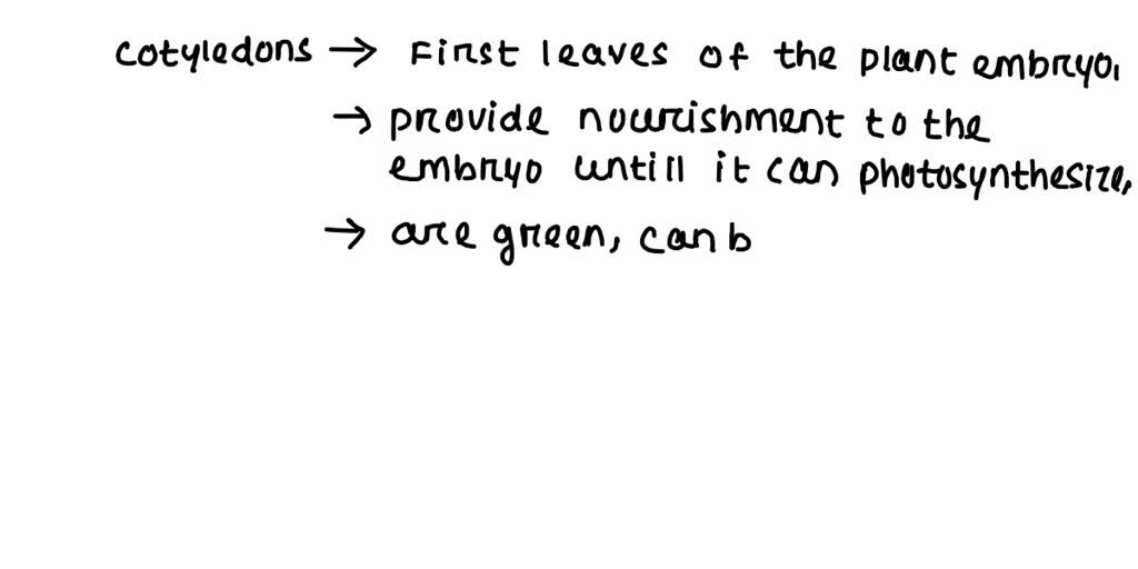 SOLVED: Describe the structure and function of the cotyledon.