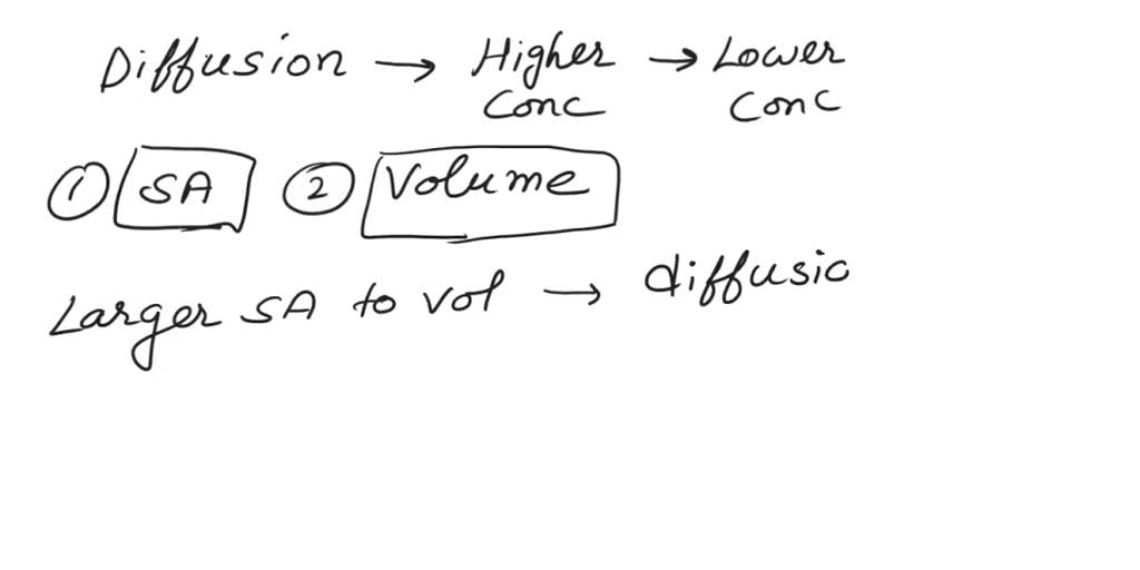 SOLVED: how does the surface area to volume ratio affect the rate of ...