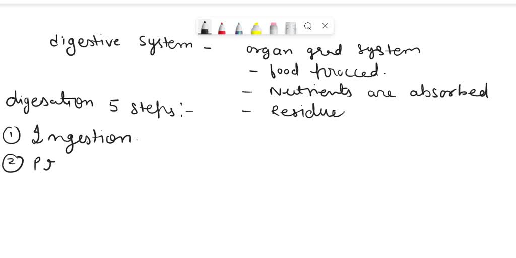 SOLVED: B. Inside the box are different terms referring to body organs ...