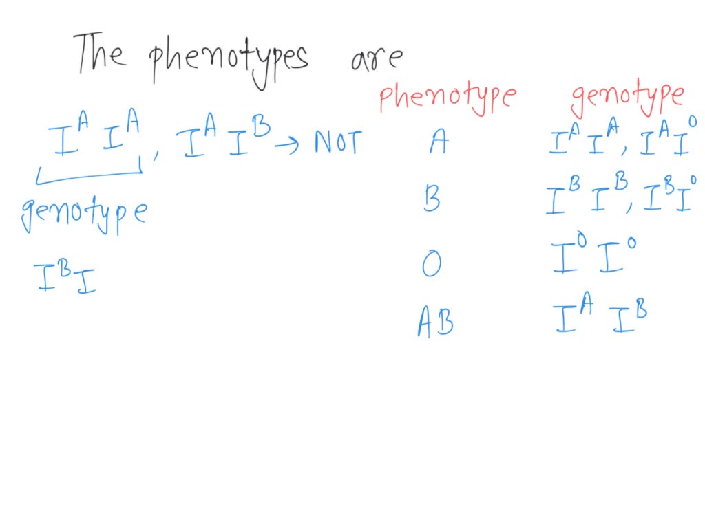 SOLVED: 'Which of the following pair of genotypes result in the same ...