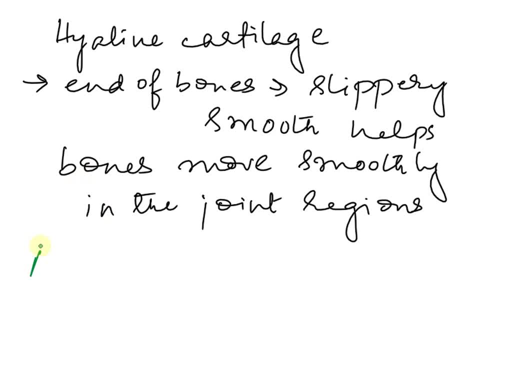 SOLVED: Place the following terms or examples within the correct ...