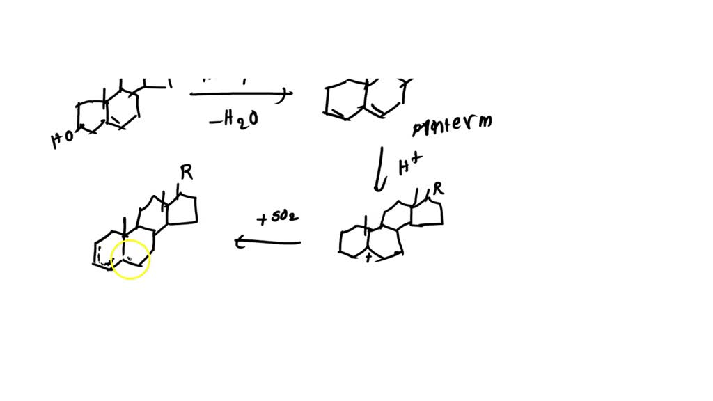 SOLVED: 1. Mention the differences between Salkowski and Liebermann ...