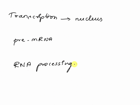 The figure represents transcription and translation in a...