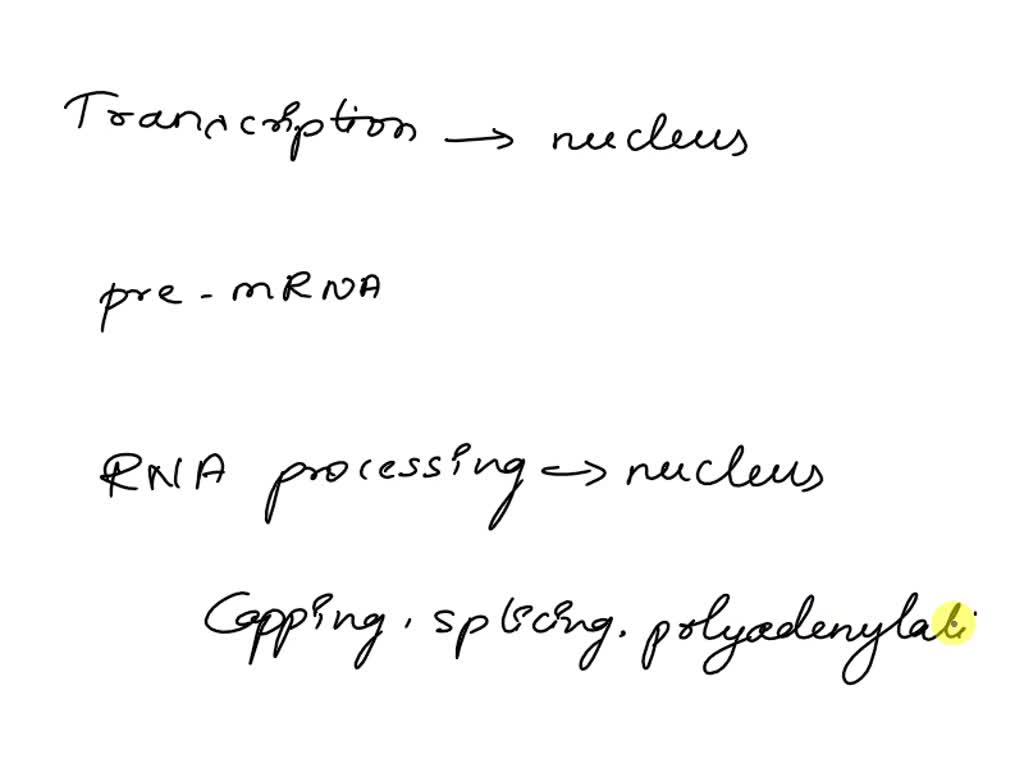 SOLVED: Below is a diagram of a eukaryotic cell, with the nucleus and ...