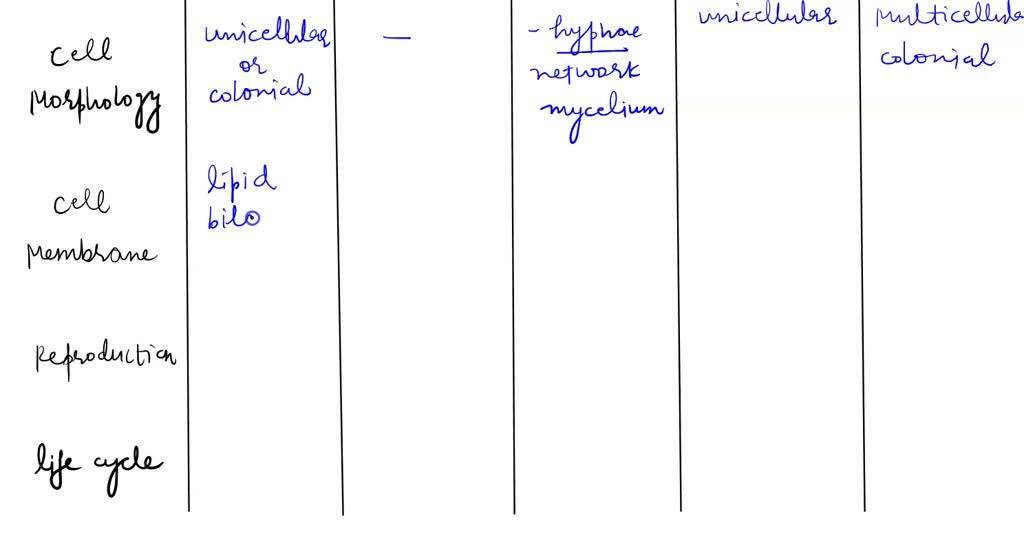 SOLVED: Explain three unique ways fungi are different from other ...