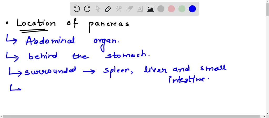 SOLVED: Describe the anatomic location of the pancreas relative to the ...