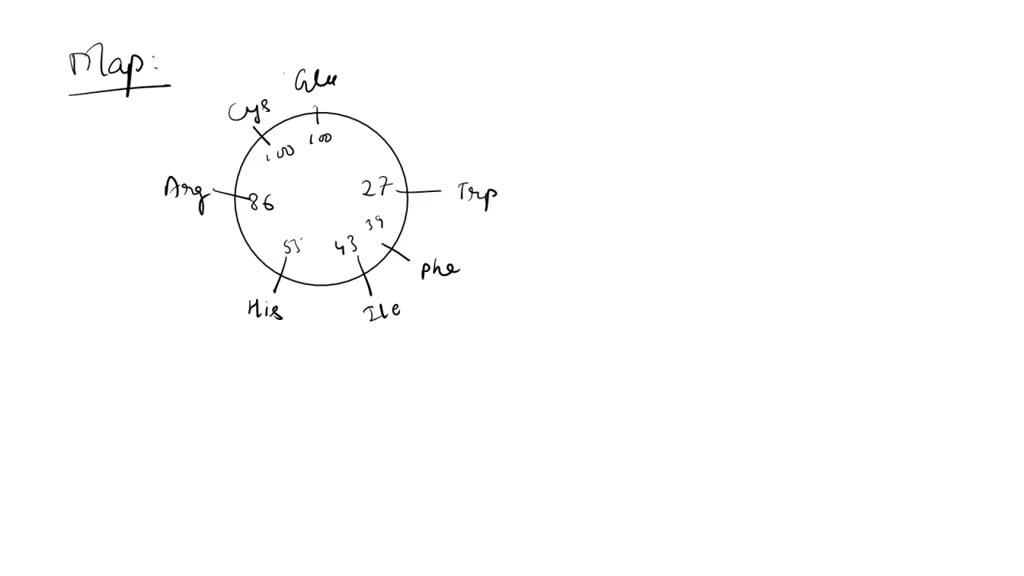 Solved A Bacteria Contains Genes For Synthesis Of Amino Acids Phe Ile Cys His Arg Trp