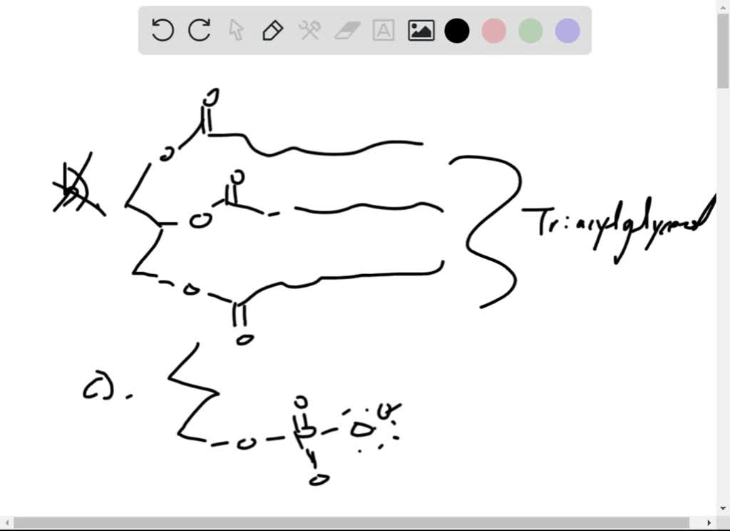 SOLVED: What is the basic structure of a steroid? a. four fused ...