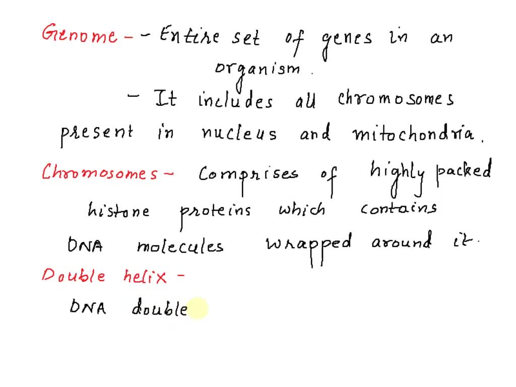 SOLVED: 11. Arrange the following genetic terms in order of complexity from largest to smallest ...