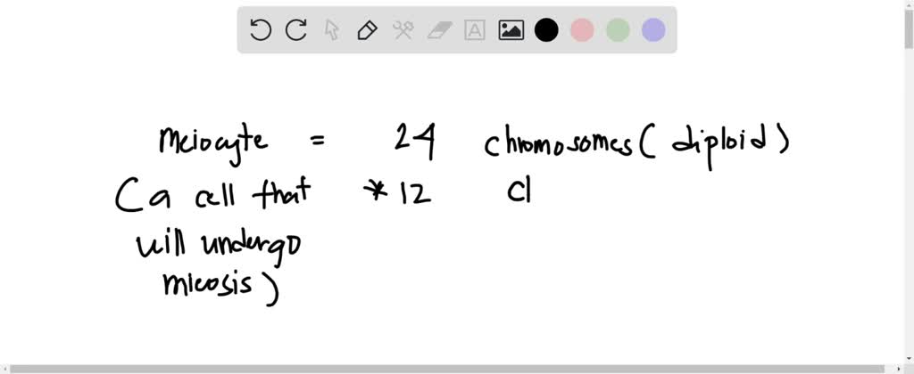 SOLVED: The meiocyte of rice has 24 chromosomes. How many chromosomes ... SOLVED: The meiocyte of rice has 24 chromosomes. How many chromosomes ...