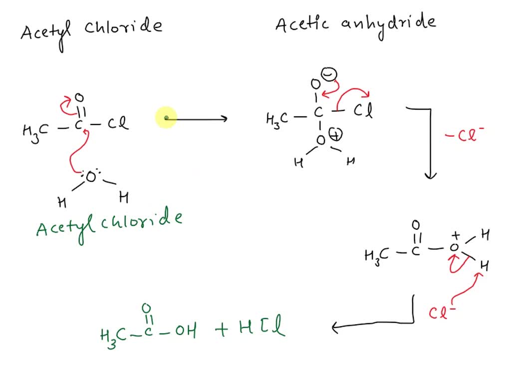 SOLVED: The full chemical equation for the hydrolysis of benzene ...