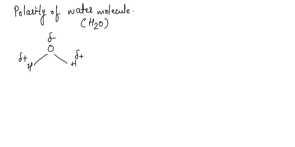 SOLVED: Based on your knowledge of the polarity of water molecules, the ...