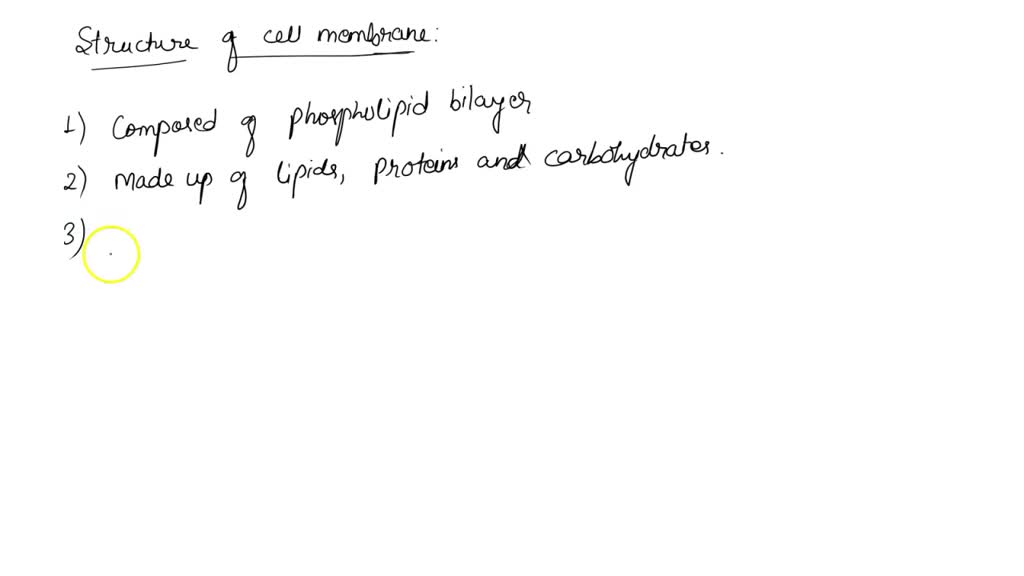 SOLVED: Describe the chemical structure of a cell membrane.