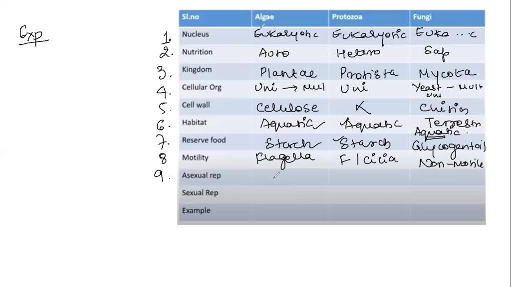 SOLVED: Compare and contrast the differences among algae protozoa, and ...
